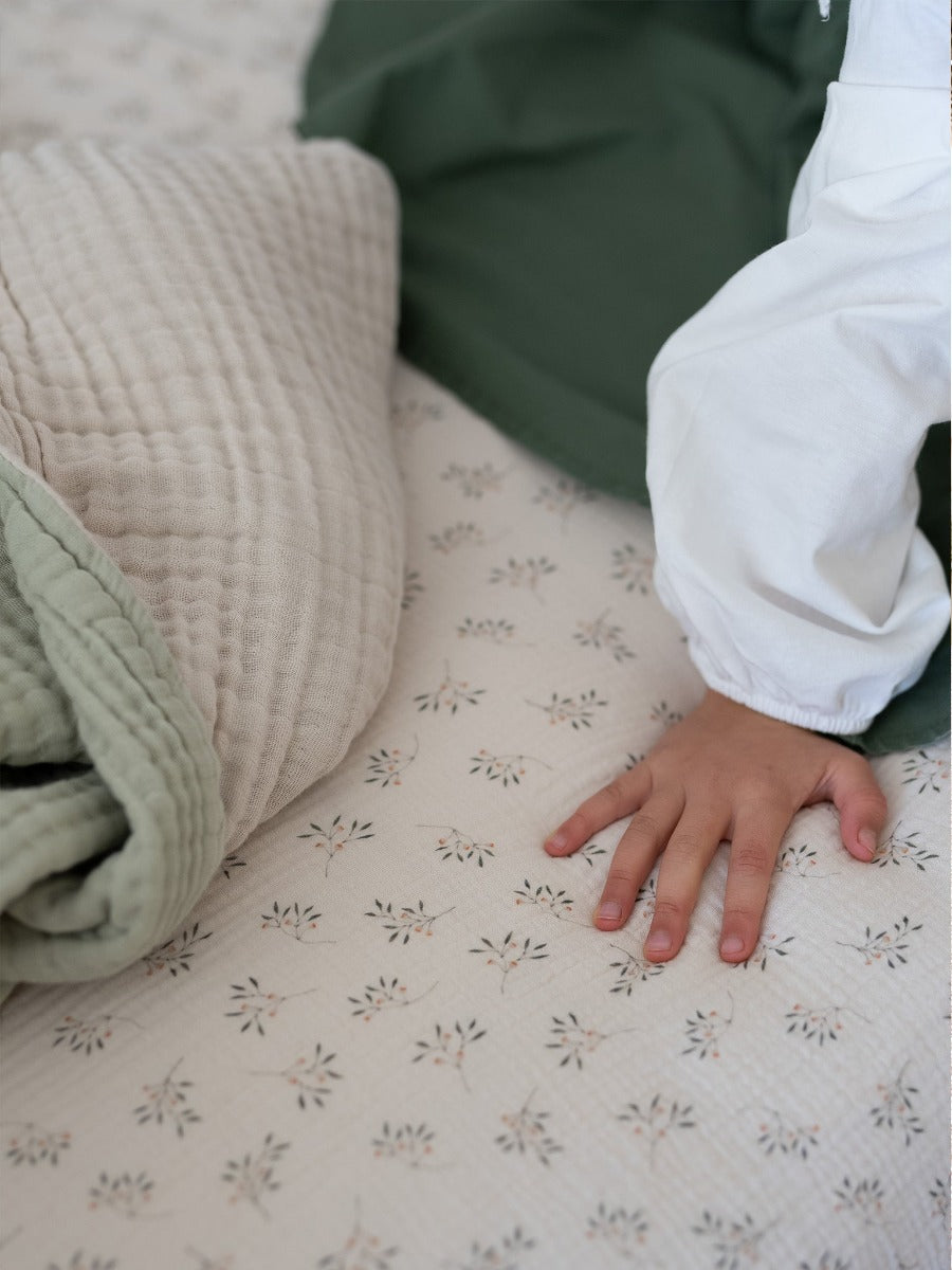 Eucalyptus Collection – Little Myrtle